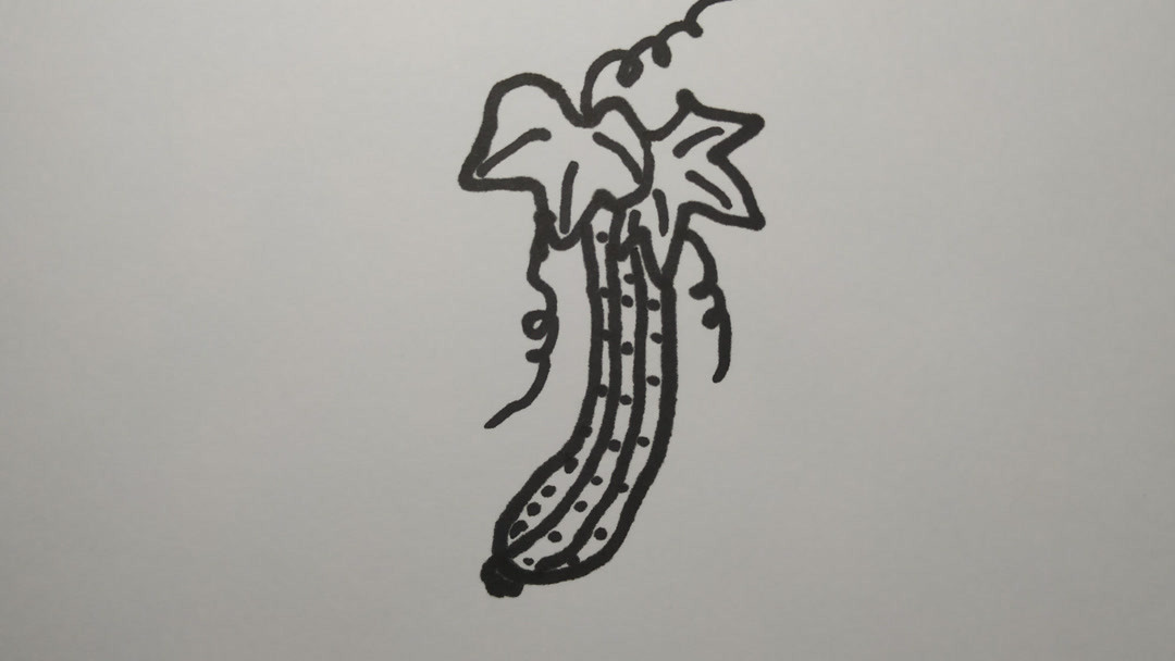 简笔画:儿童学画画入门基础教学,(丝瓜)你学会了吗?小朋友们