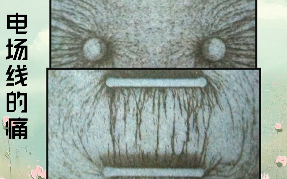 电场线的痛