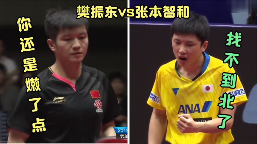 看得热血沸腾!男单决赛樊振东大战张本智和,张本被打到怀疑人生