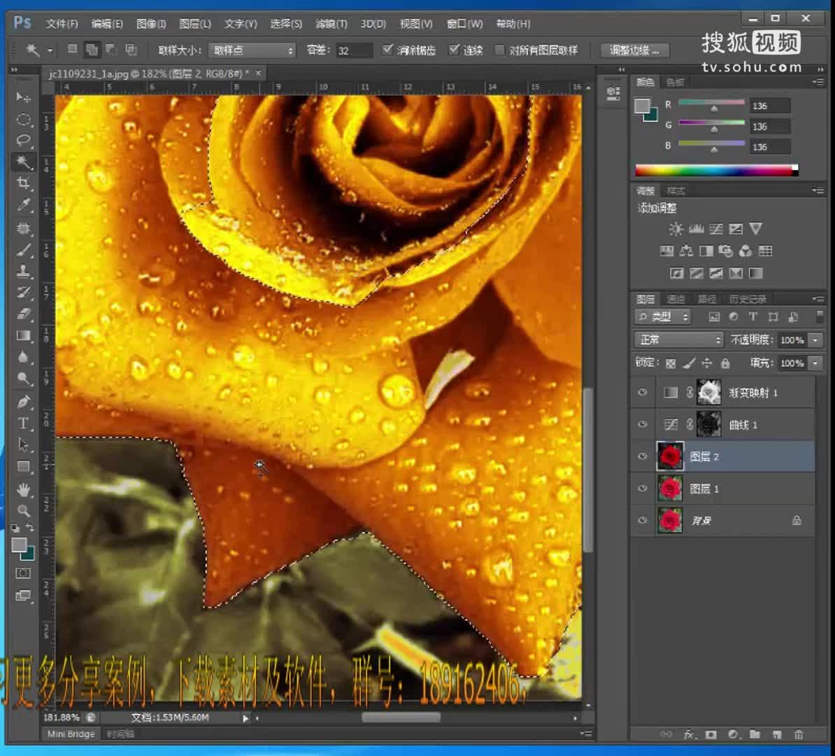 ps教程ps抠图ps影楼后期ps设计教程ps精修平面设计平面海报金色玫瑰