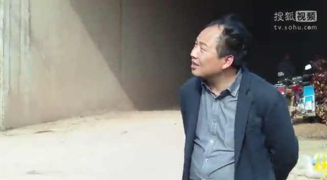 湖南绿化苗木价格湖南绿化树浏阳罗汉松苗湖南璇丰苗圃4公分罗汉松...