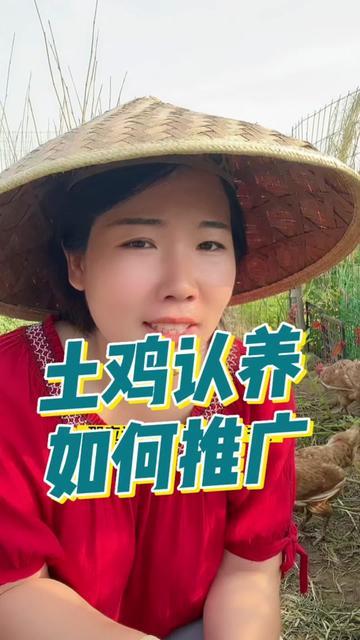土鸡认养如何推广市场,打开市场