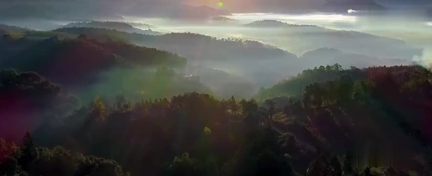 《唱支山歌给党听》-哈尔滨市林业和草原局