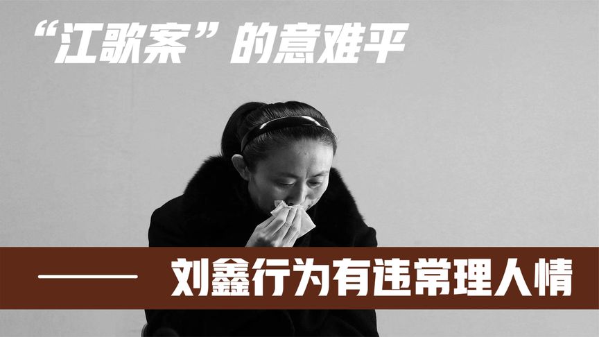“江歌案”背后:一位母亲1894天的坚守!