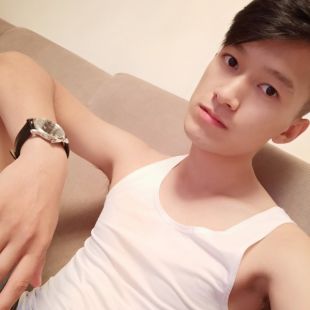 飞翔的荷兰小野猪 