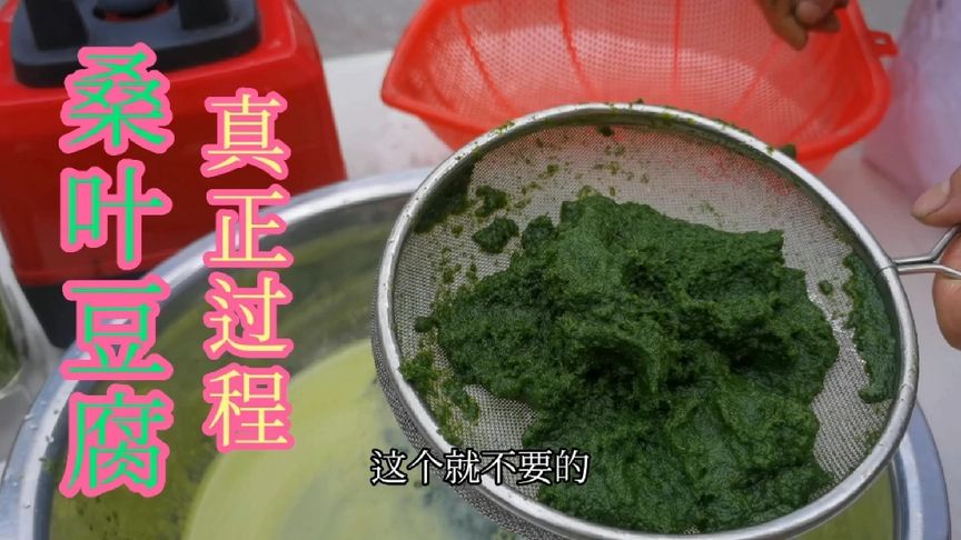 桑叶制作豆腐“真正的”过程分享给您,必要的秘密材料您必须了解