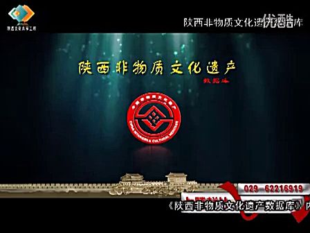 陕西省图书馆信息系统宣传片