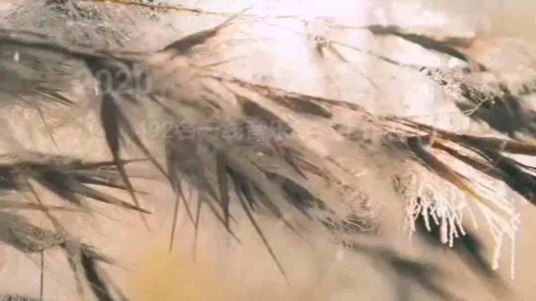 2020,寄往人海的一封信