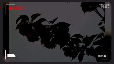 我的图片“百花争艳”MV_201609232109_201609232133