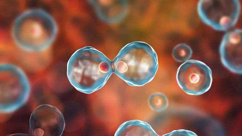 试管移植后有哪些注意事项?生殖医生有说法,助你迎好“孕”