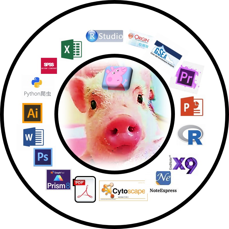 批评不自由赞美也无意义 