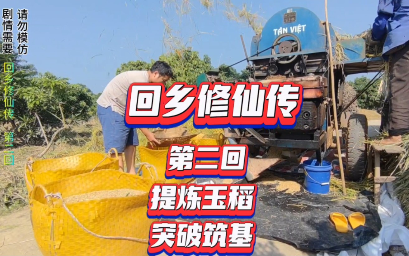 《回乡修仙传》第二回:提炼玉稻,突破筑基期。一介散修朱古力,离开宗...