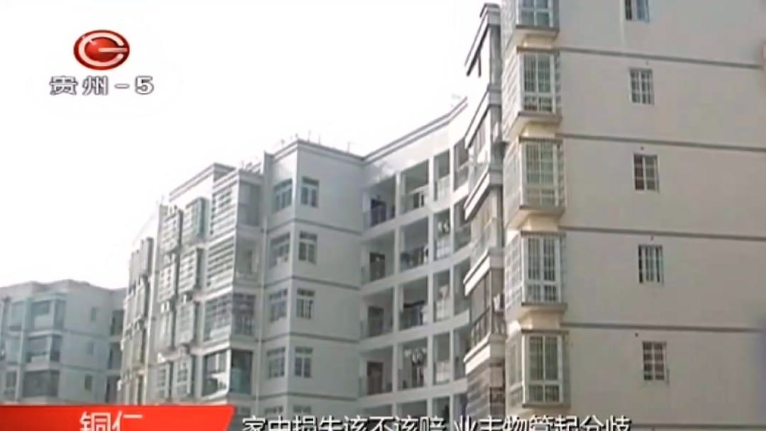 污水倒灌情况发生,业主与物管起分歧,家中损失该不该赔偿