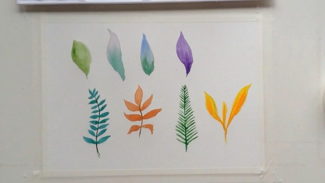 水彩插画叶子的画法