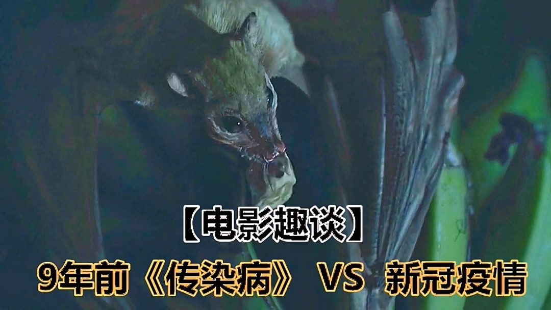 灾难片《传染病》vs全球新冠病毒,竟有如此多的相似,巧合之处