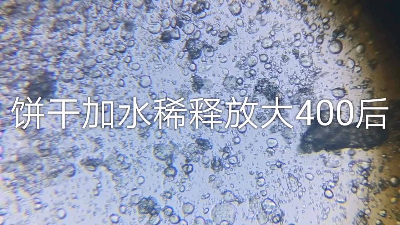 将饼干稀释放大200倍后,会是什么样子呢?