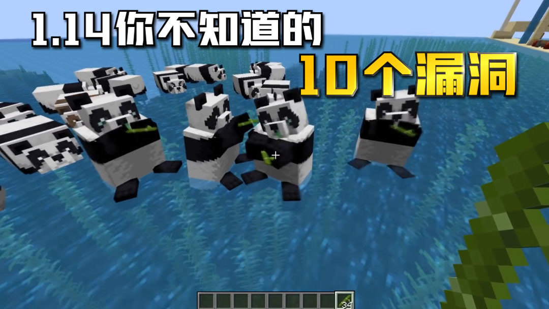 我的世界:1.14的10个BUG,熊猫居然能在水上吃竹子