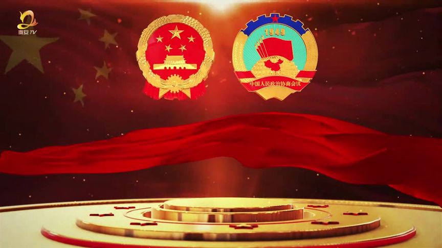 县十九届人大一次会议举行第二次全体会议#抖音