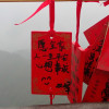 A赵童鞋 