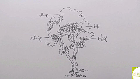 零基础绘画教学: 怎么用凹凸线画速写, 教你一个小诀窍, 简单易学