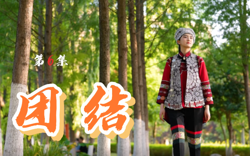 【跟党奋进 青春云南】民族团结一家亲,云岭青年力先行