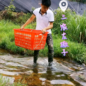 三农vlog 