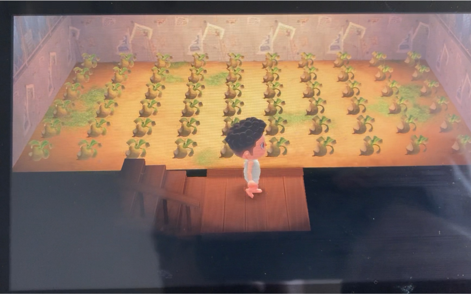 震惊!动森修改时间受到严惩!改一天也不行!