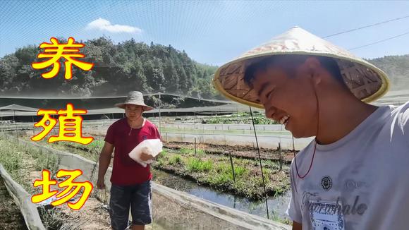 在农村花十几万投资一个养殖场,看到这个规模,你们觉得怎么样!