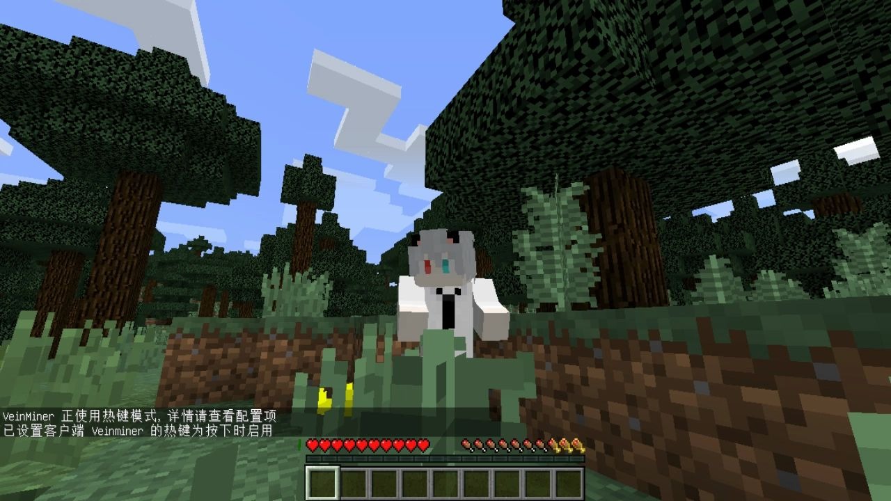 进入暮色-我的世界暮色森林多模组生存第一期