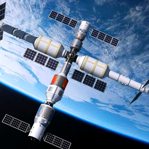 有趣的百灵鸟OV 