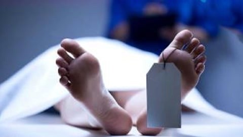 人死后体内的血液都去哪了?3D动画演示,场面一目了然!