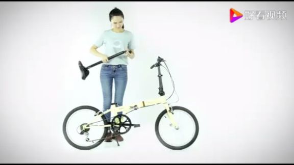 大行DAHON座管气筒使用方法