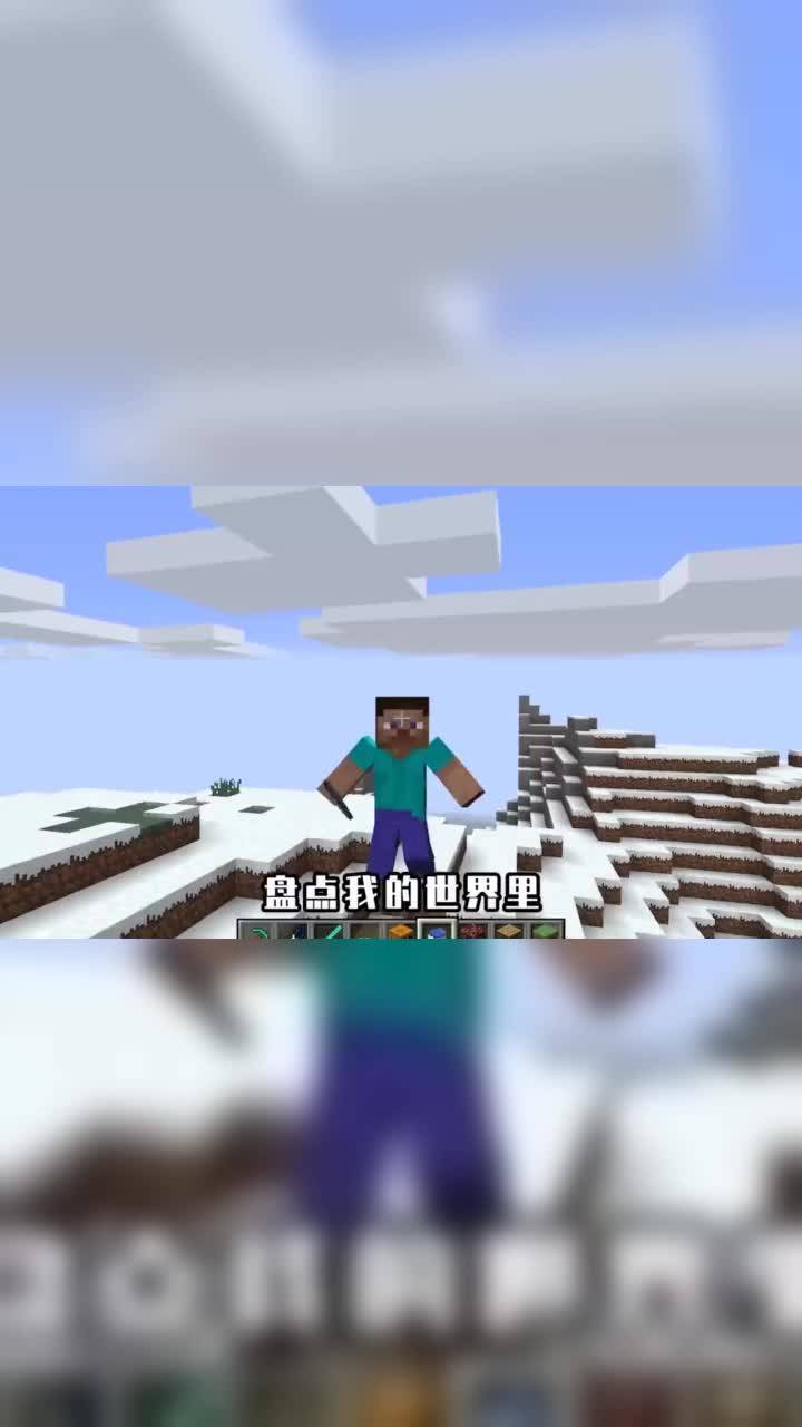 我的世界:最诡异的图片,门上可以插火把,游泳池可以建造成圆形