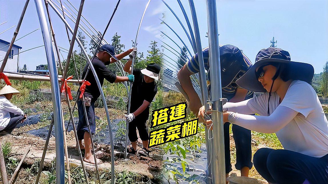 蔬菜大棚搭建,地不平整、石头还多,困难重重,看如何逐一解决!