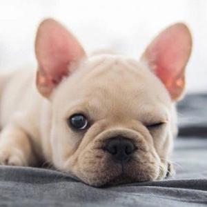 古今痴狂终成空 