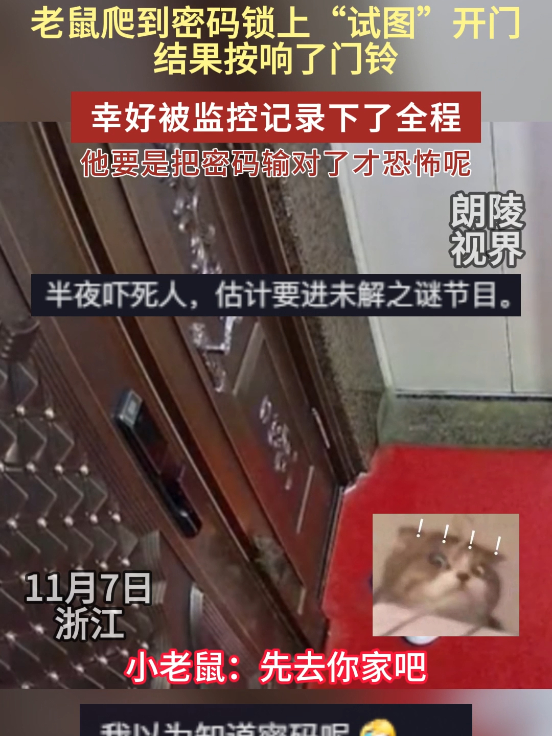 老鼠爬到密码锁上"试图"开门,结果按响了门铃