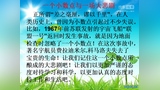 小学数学微课《小数的初步认识读、写小数》阎雪梅