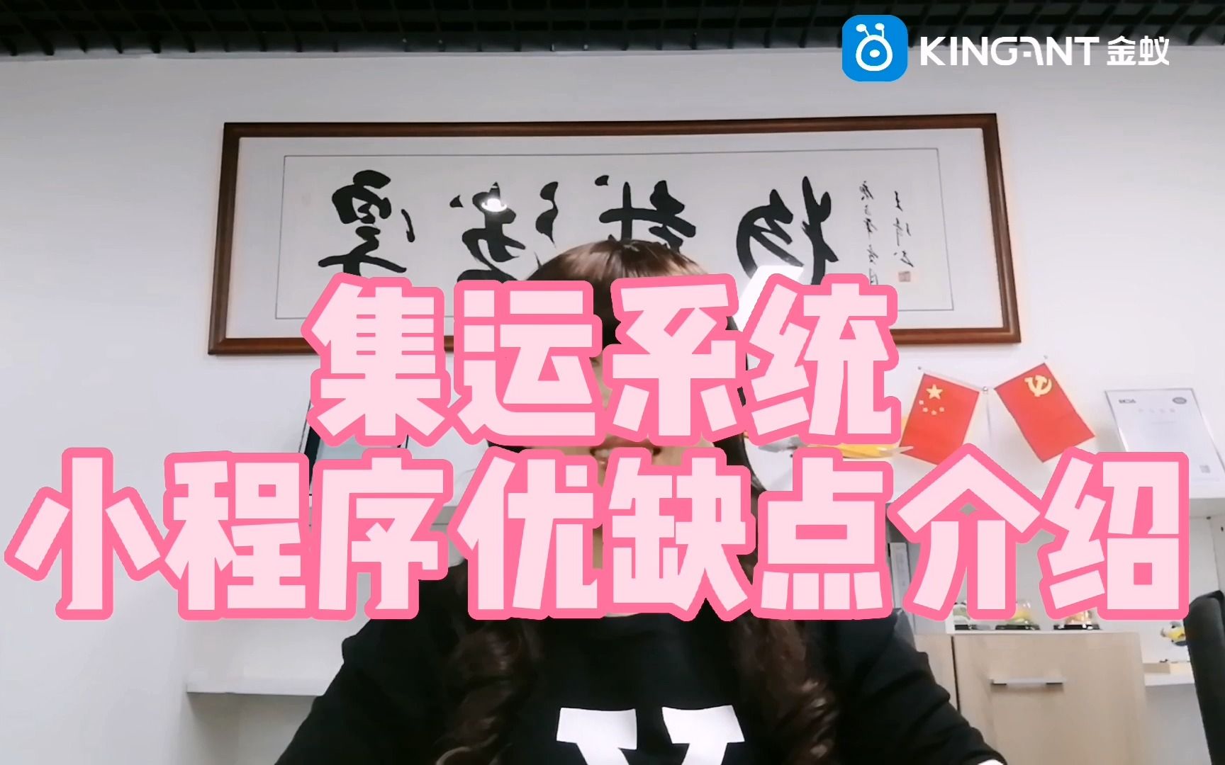 集运系统小程优缺点介绍~金蚁
