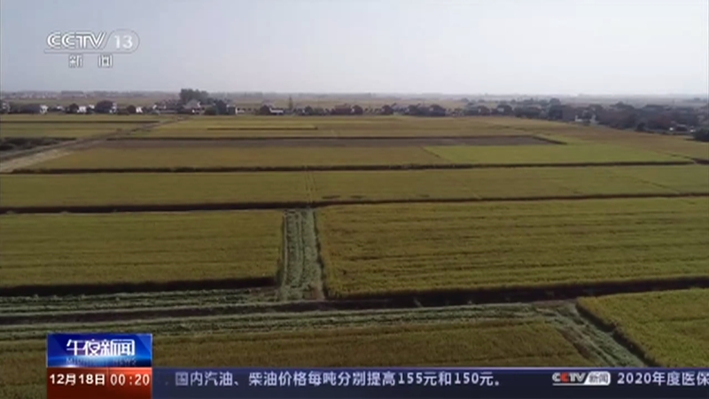 [午夜新闻]农业农村部 今年8000万亩高标准农田建设任务将完成