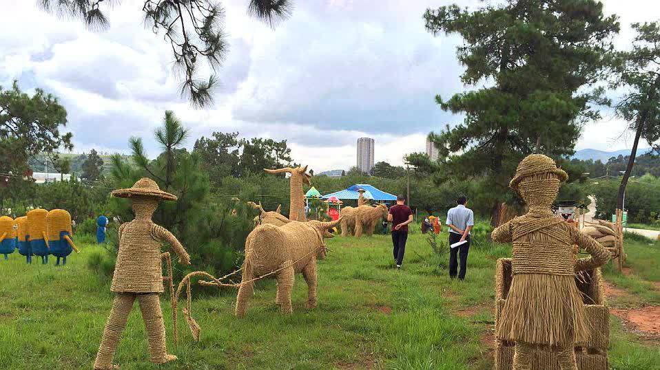 奇葩的一个国家,边境站岗扎个稻草人,网友:心可真大!