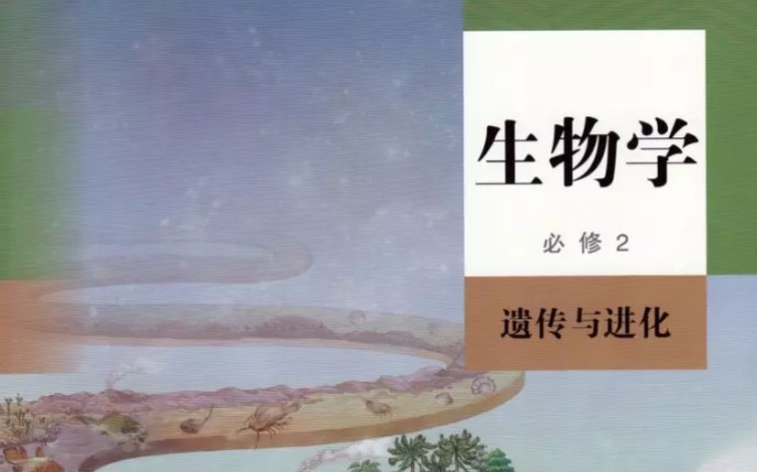 DNA的结构讲评
