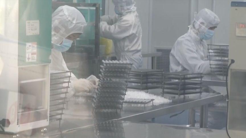 检测试剂盒够吗?专家:已到位10万份,且检测时间缩短到1天