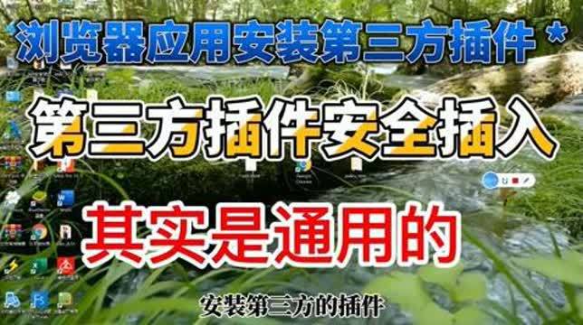在浏览器里安装