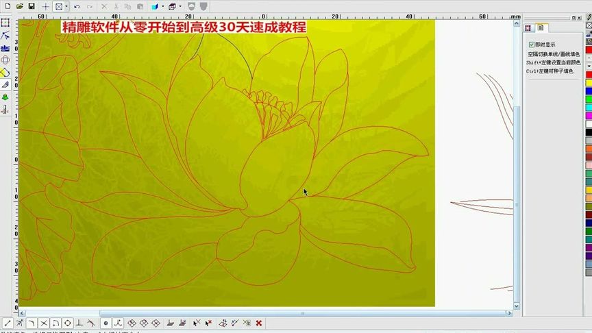 第190节荷花讲解1浮雕设计教程视频精雕软件入门基础教程