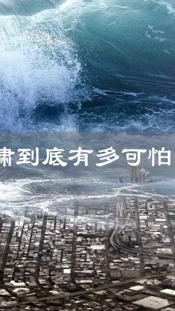海啸到底有多可怕?人类在灾难面前到底有多脆弱(中篇)