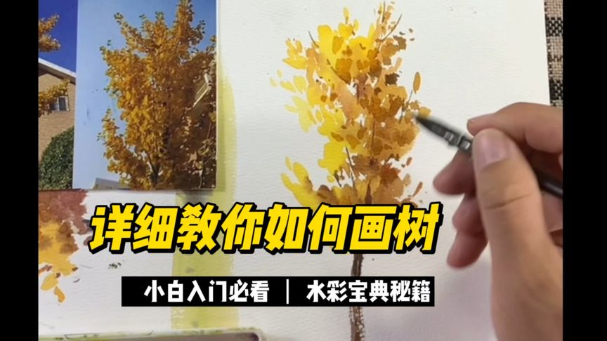 不会画水彩的看过来了,详细的画树教程