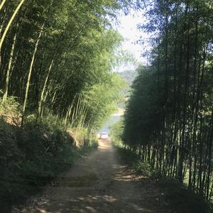 金山一方 