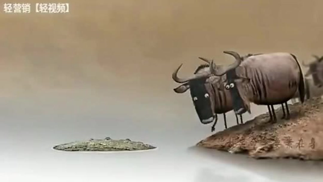 动画笑死你 是鳄鱼还是木头?