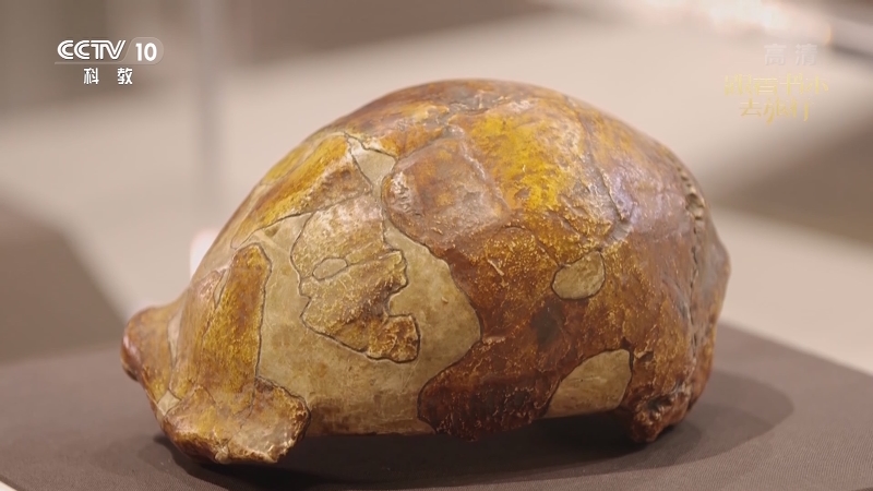 【跟着书本去旅行】考古学家的“宝贝”至今下落不明!世纪之寻为何物?