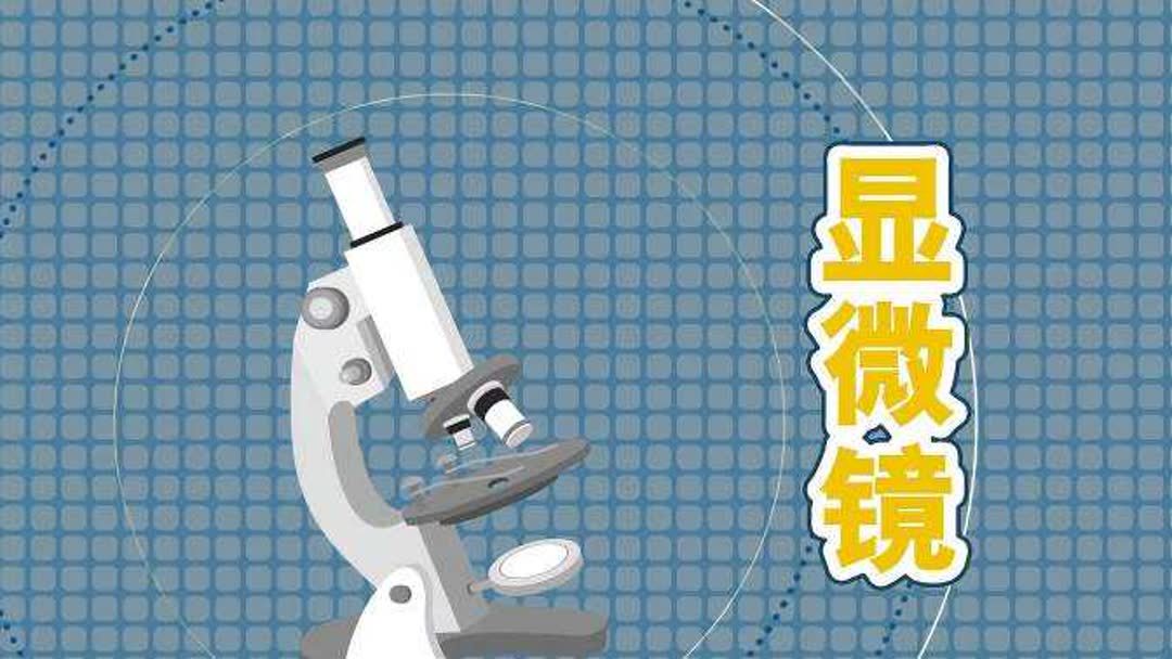 带你打开微观世界的大门——显微镜